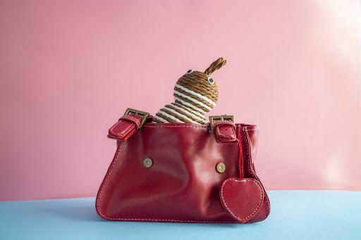 The Diaper Bag Essentials: How to Stock a Diaper Bag – Paperclip